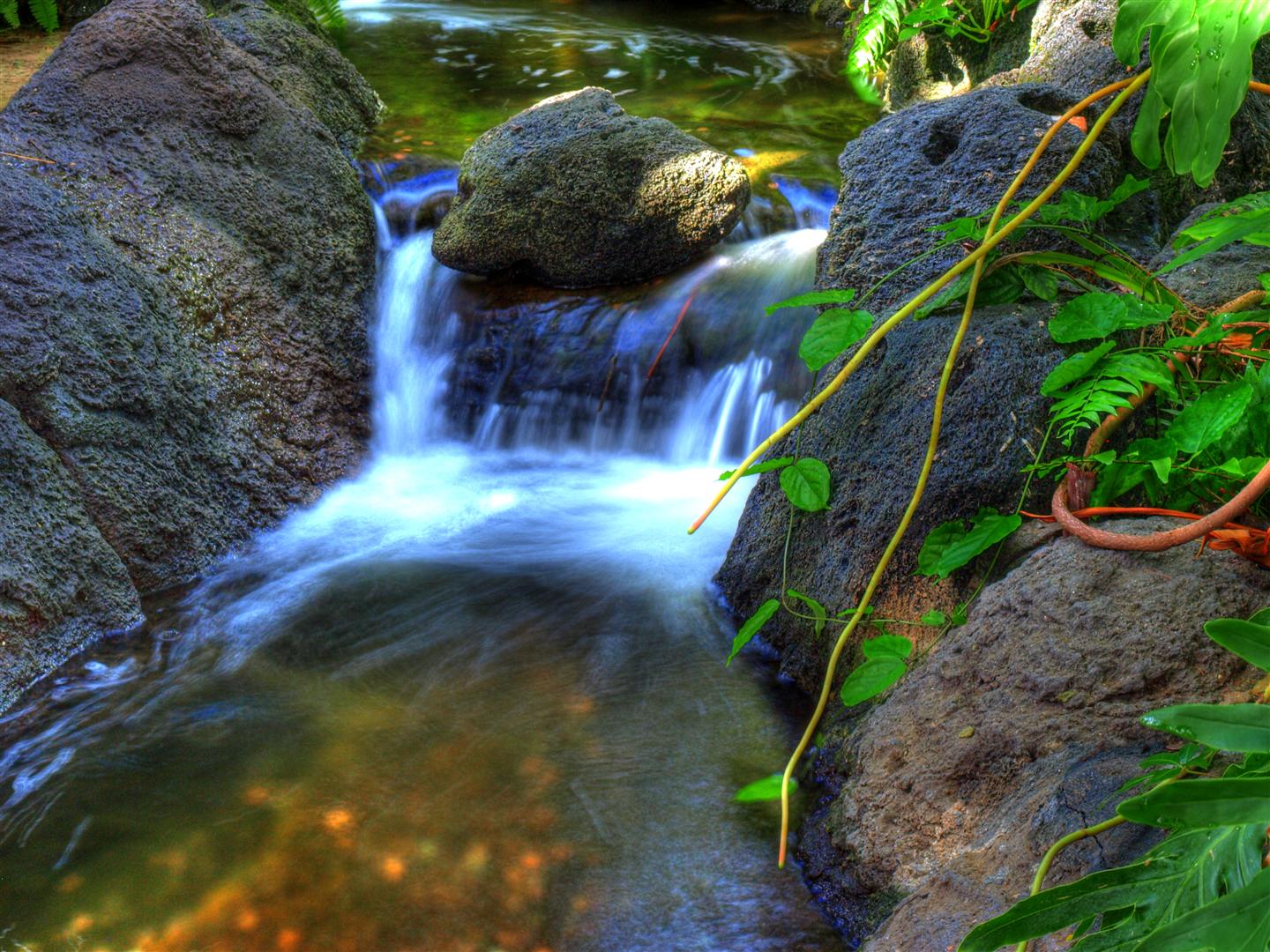 Why Photography? – Phil Hadley Photography